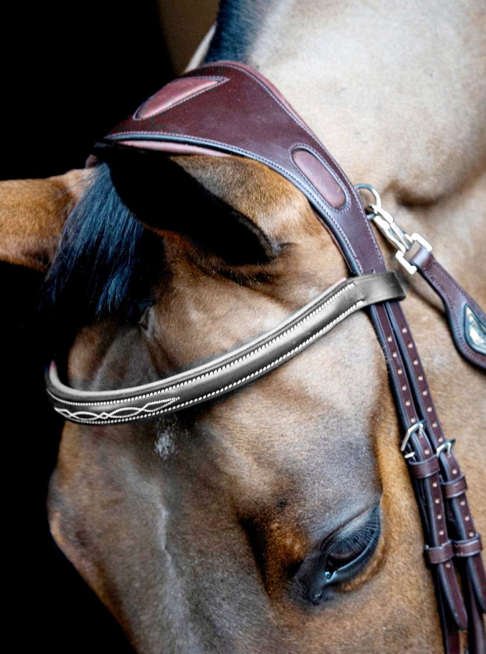 Equiline Anatomisch gevormd kopstuk – Horse Riders Classics